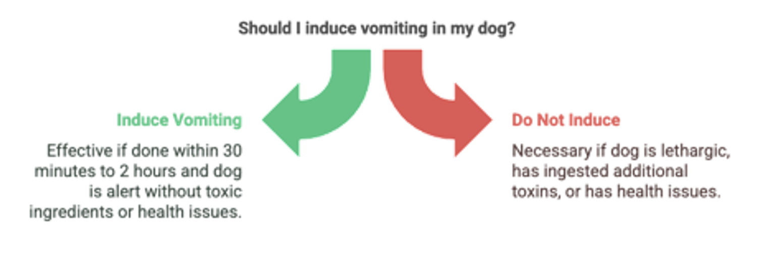 Should I Induce Vomiting – MyDogAteEdibles.com
